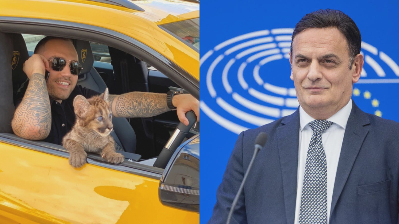 Casa goes to court over Christian Borg’s undeclared wealth – NEWZ